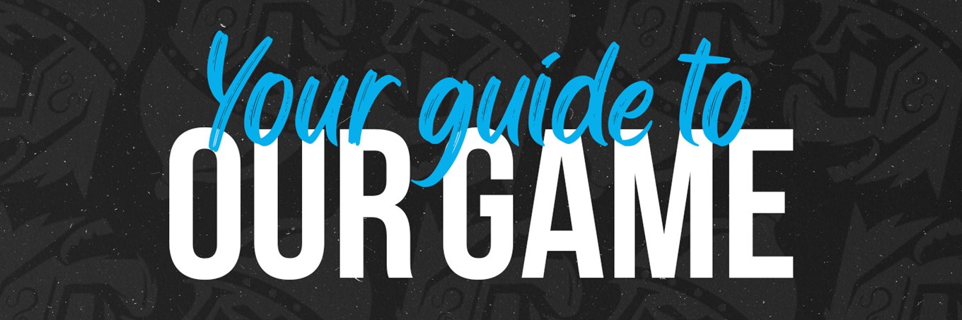 Your Guide to Our Game